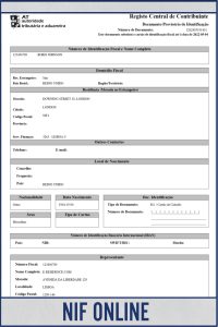 Como Pedir o NIF em Portugal Online: Guia Completo e Dicas Úteis